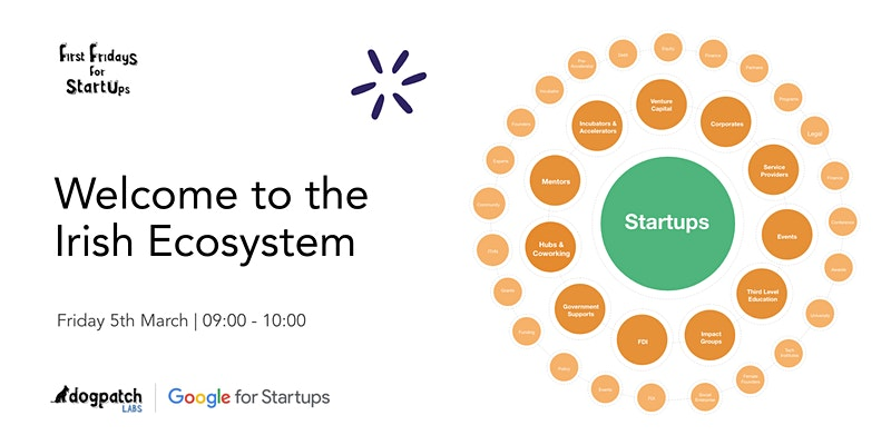 Welcome to the Irish Ecosystem: Female Founders Spotlight – Ukrainian Startup Fund